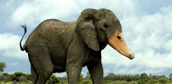 Static Types vs Dynamic Types. Stop fighting and make my life easier ...